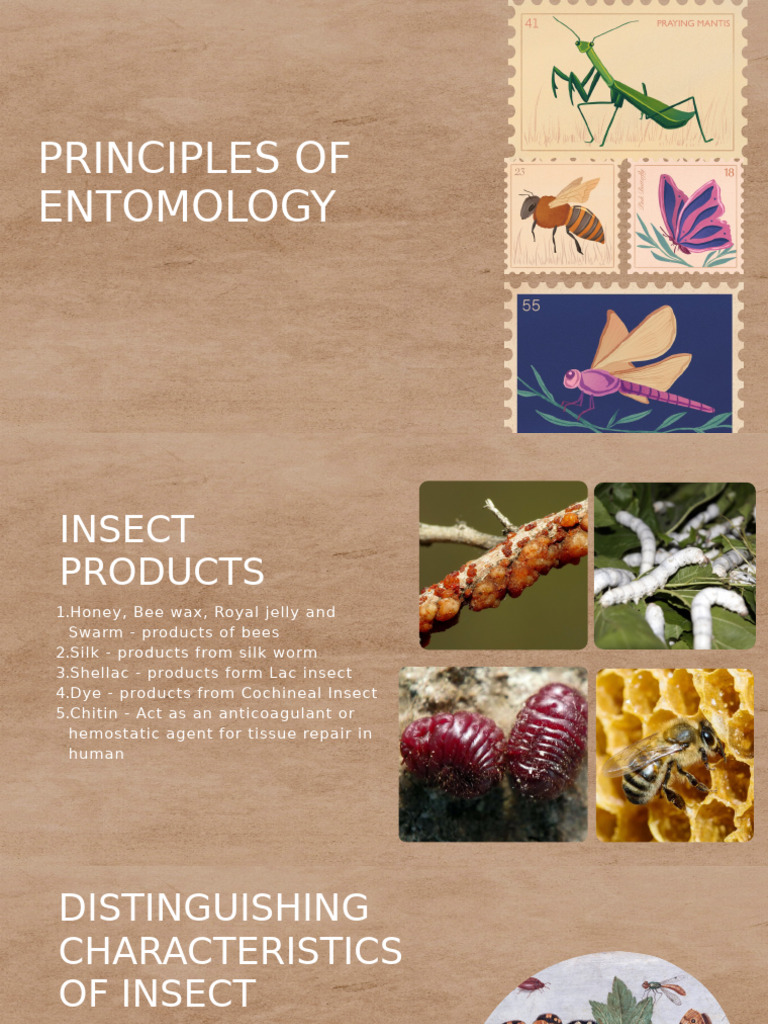 Principles of entomology | PDF | Insects | Hexapoda
