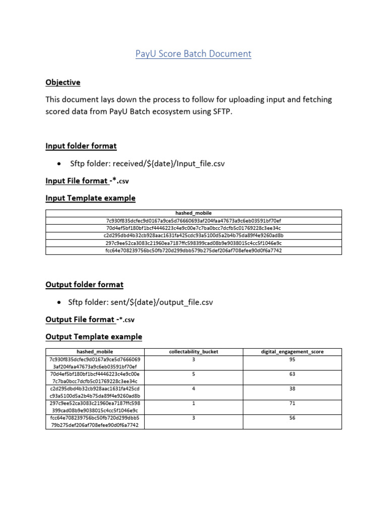 Batchdocumentation 1 Pdf 