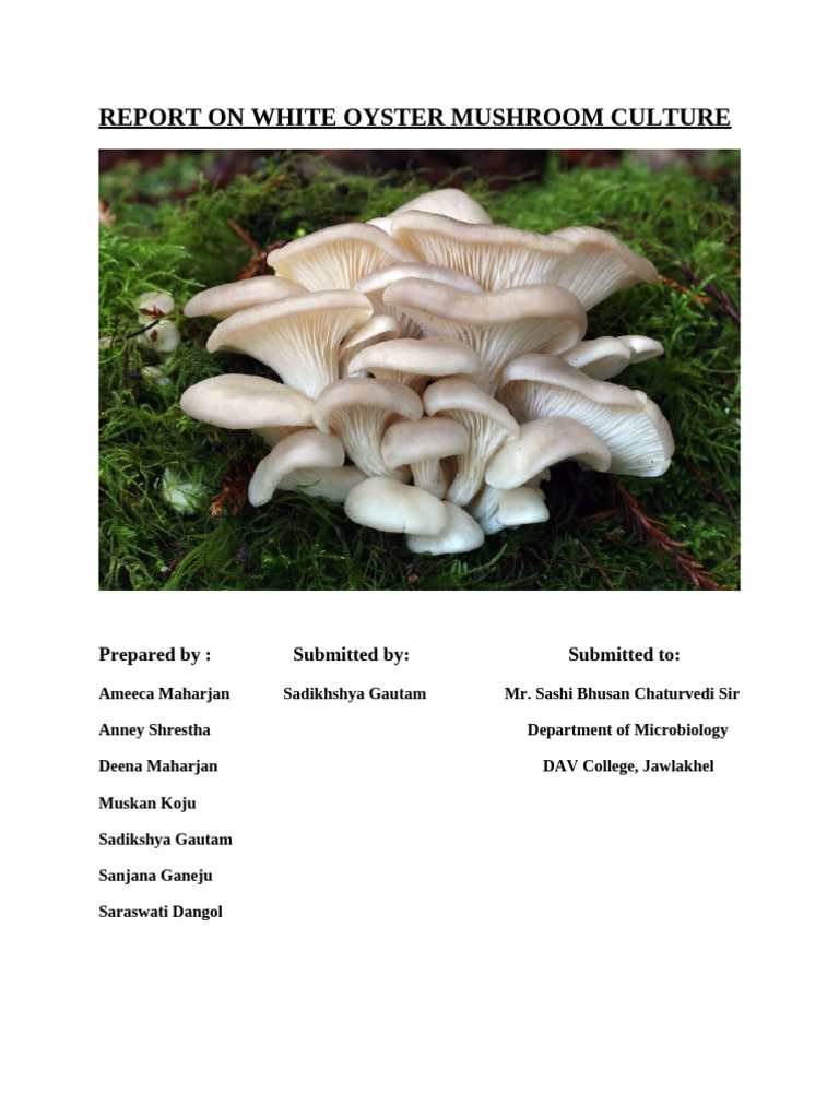 Mushroom Report Pdf Mycology