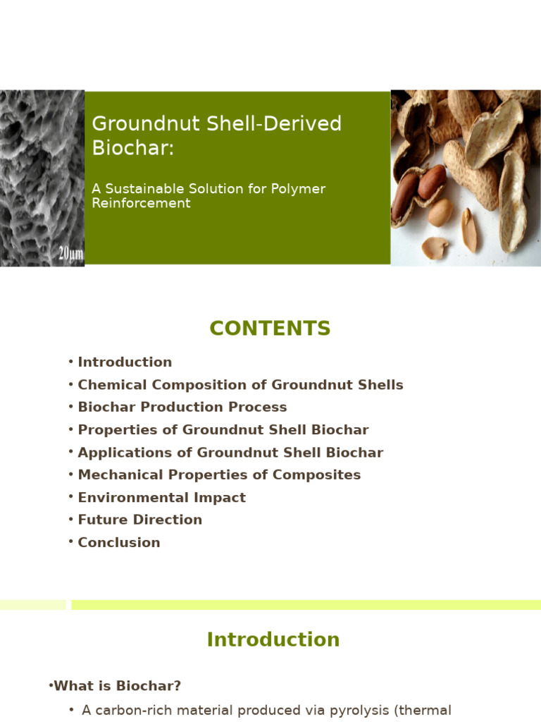 Groundnut Shell-Derived Biochar Major Project PPT 2 | PDF | Composite Material | Pyrolysis