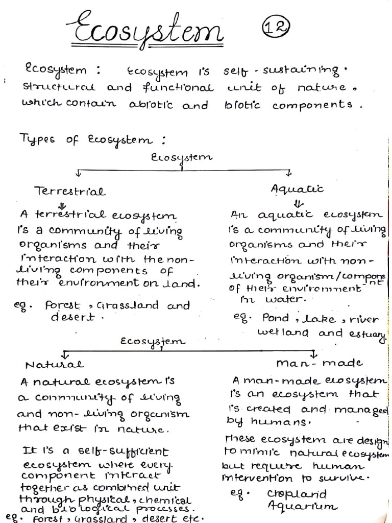 Ecosystem Xii Pdf Ecosystem Primary Production
