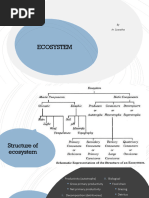 CBSE Biology Chapter 12 Ecosystem Class 12 Notes - FREE PDF | PDF ...