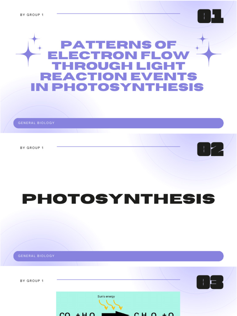 Electron Flow in Photosynthesis | PDF | Photosynthesis | Electron ...