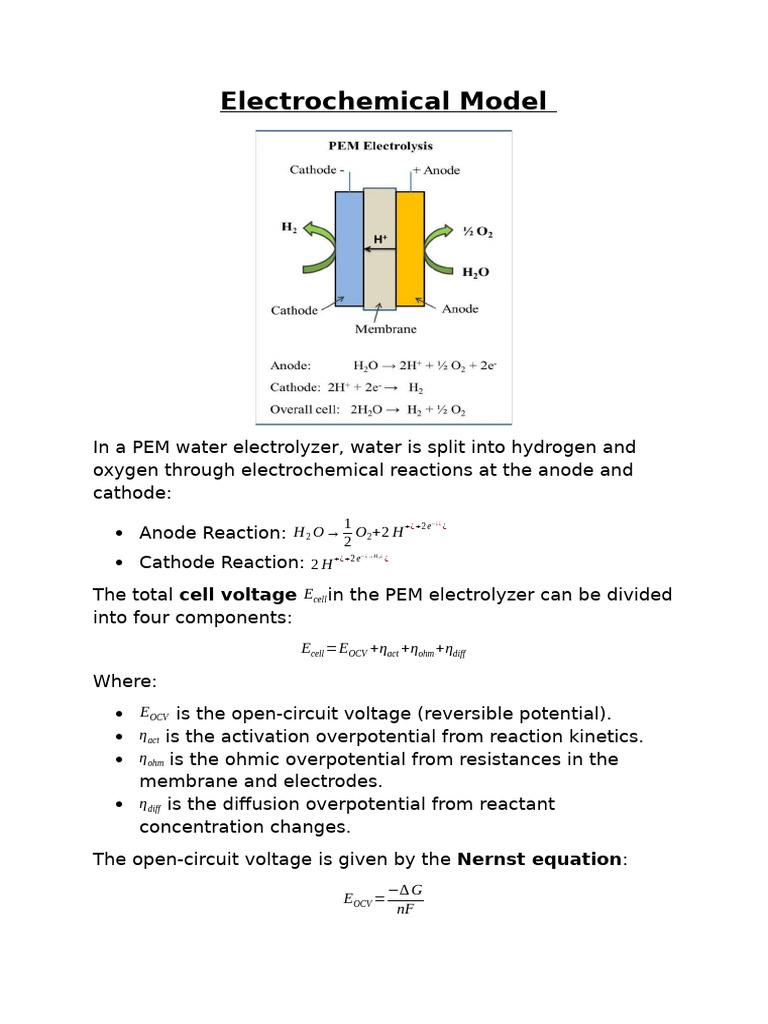 Electrochemical Model | PDF | Electrochemistry | Gibbs Free Energy