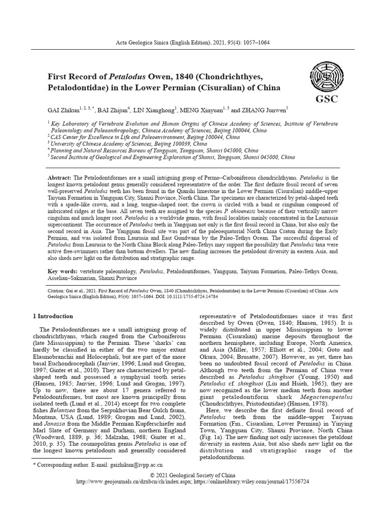 First Record of Petalodus Owen, 1840 (Chondrichthyes, Petalodontidae ...
