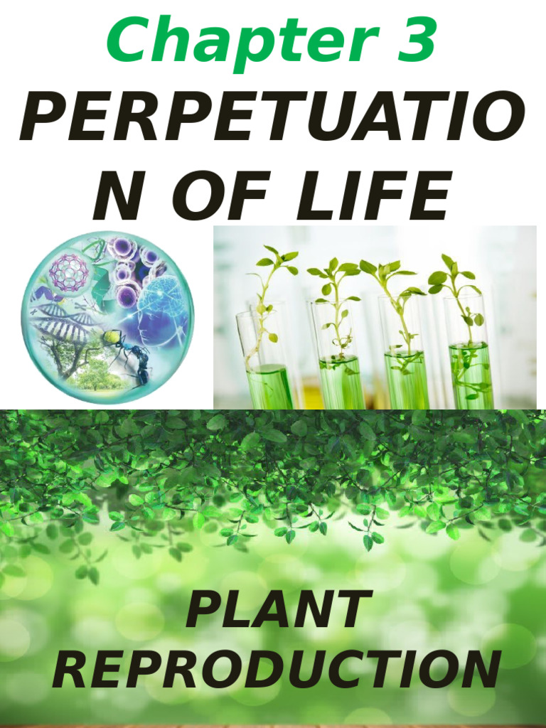 Perpetuation of Life Lesson 3 | PDF | Rna | Dna