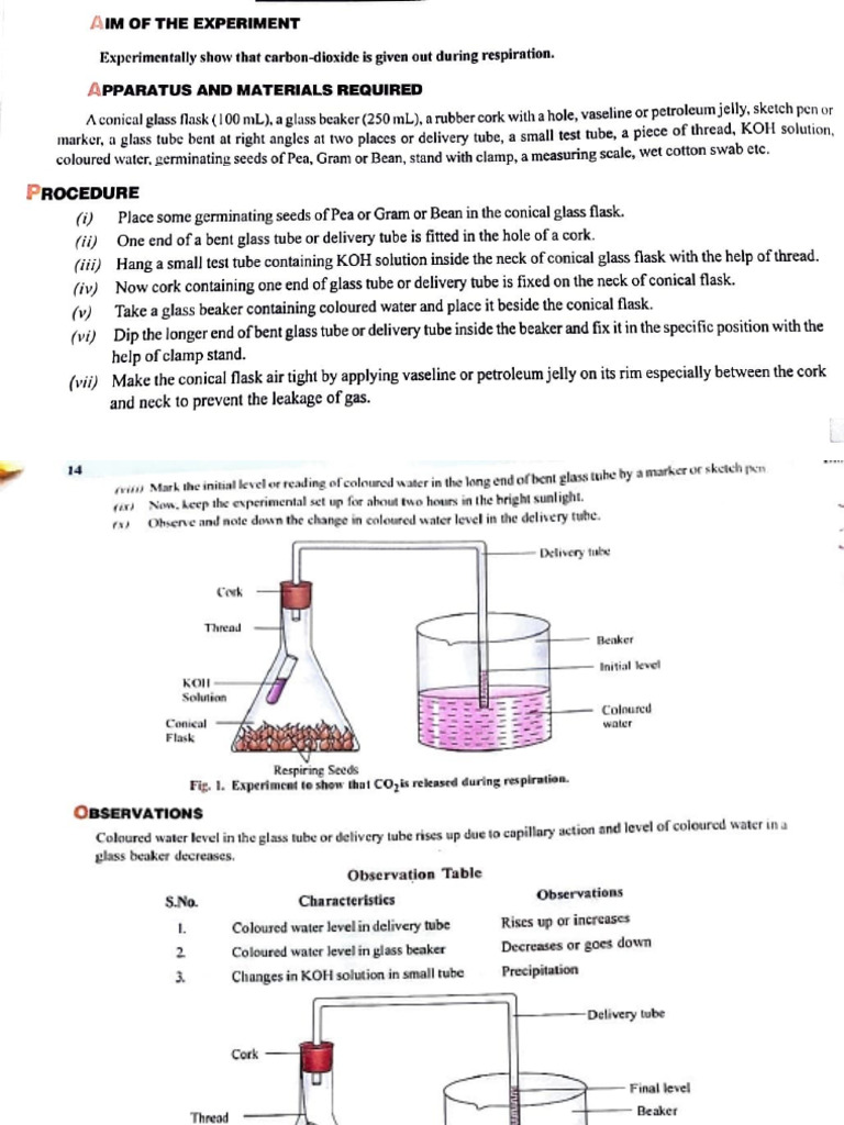 Practical Class 10 HW | PDF