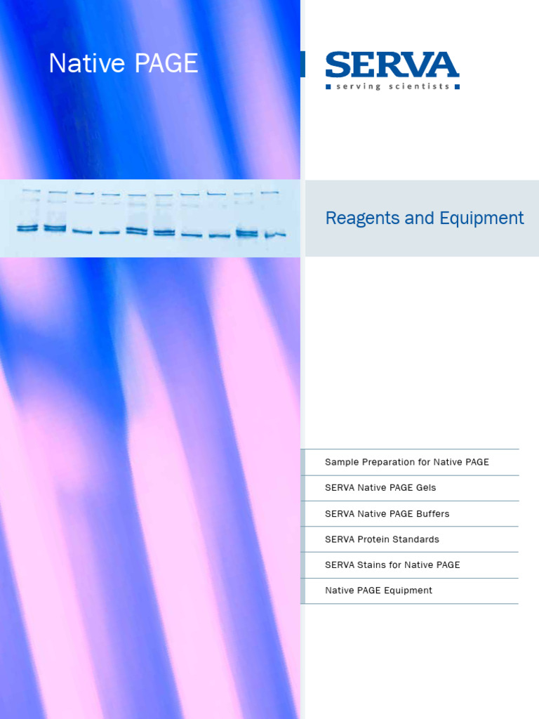 Brochure Native PAGE Web_2022_2 | PDF | Polyacrylamide Gel ...