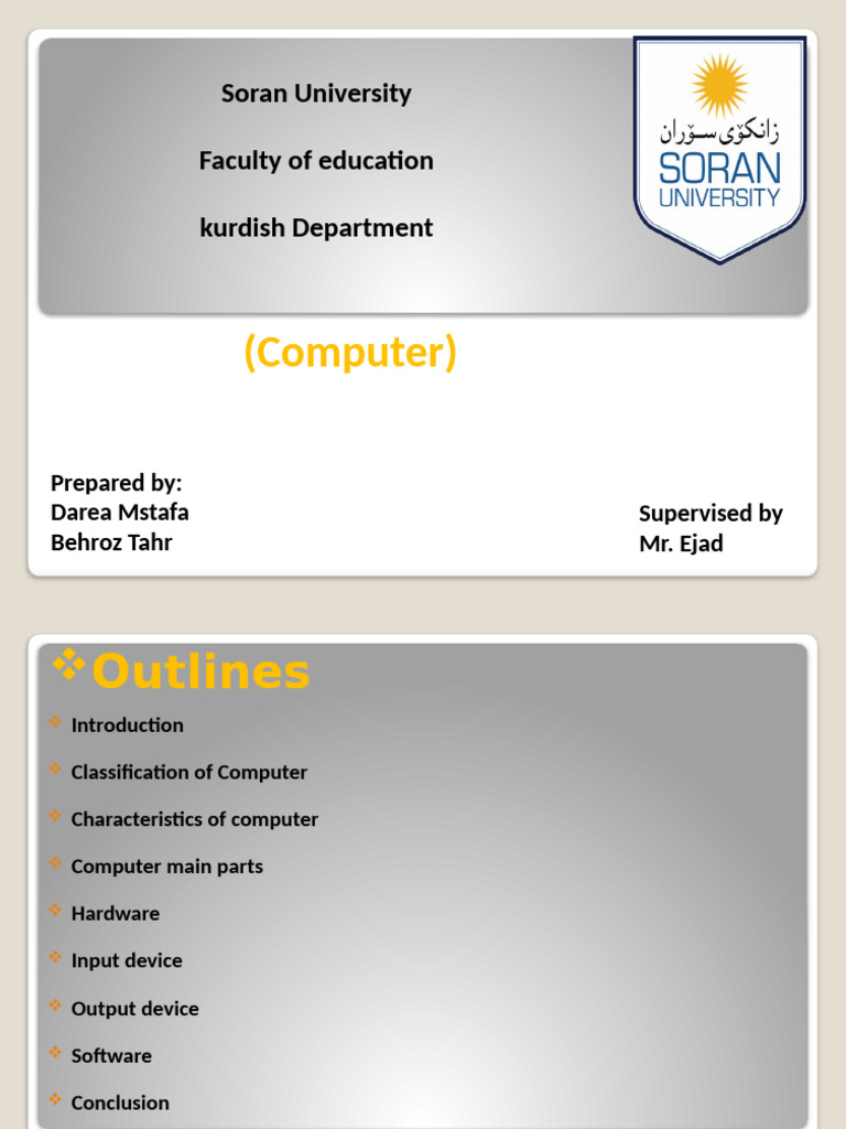 Computer(1) | PDF | Computer Hardware | Microcomputers