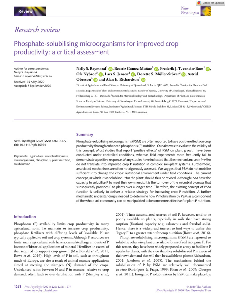 Raymond 8758 Review Solubilizadores de P New Phytol 2021 | PDF | Soil | Root