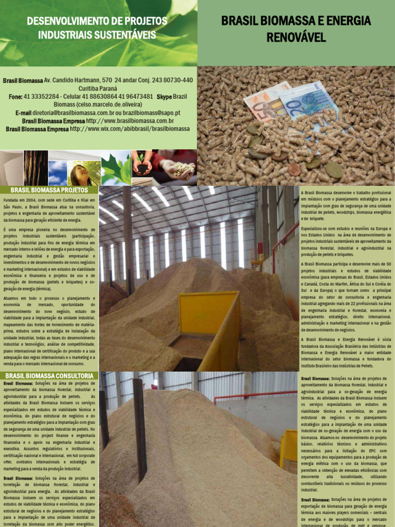 Projetos Sustentáveis de Biomassa Brasil | PDF | Cana de açúcar | Biomassa