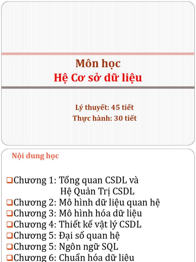 C0 CSDL-NoiDung | PDF
