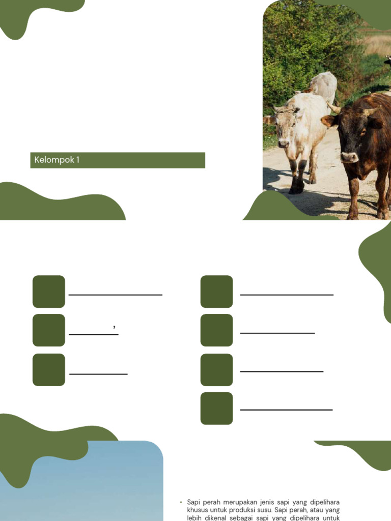 Iptp Kelompok 1 | PDF