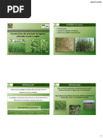 Capim-Buffel: Características e Cultivo | PDF | Brasil | Plantas