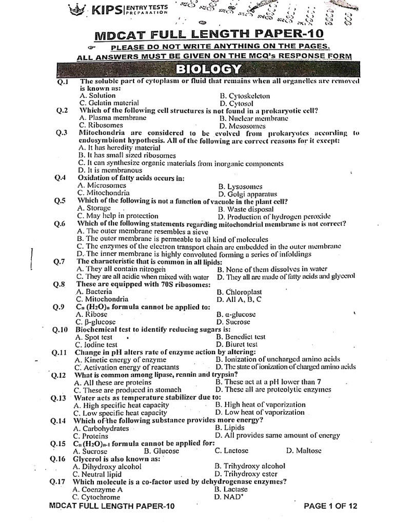 10 FLP 4 KIPS 2023 - Key | PDF