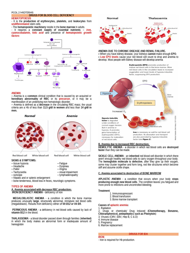 Drugs for Blood Cell Deficiency Anemia | PDF | Anemia | Vitamin B12