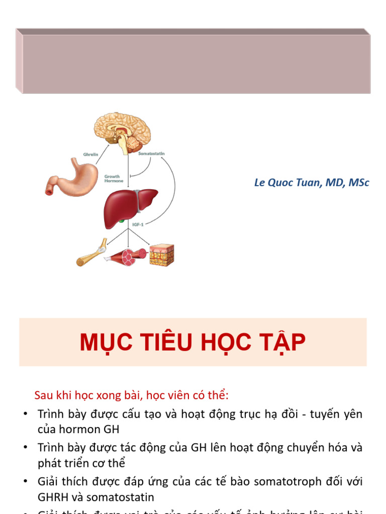 SL Hormon GH 2022 | PDF