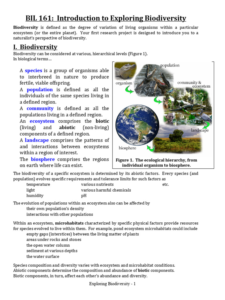 Understanding Biodiversity Measures | PDF | Ecosystem | Biodiversity