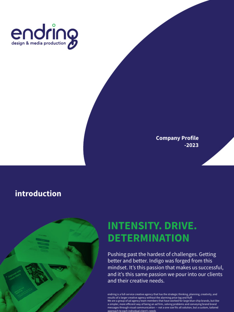 Endring CP | PDF | Brand | Strategic Management