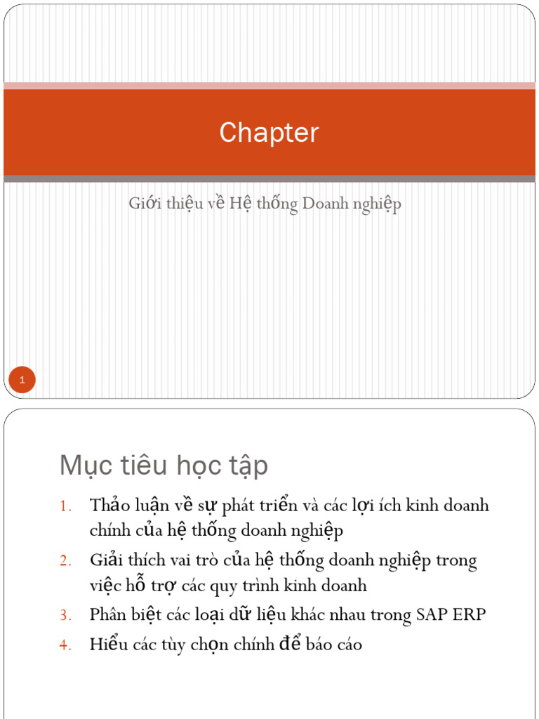 Ch02 (1) Introduction To Enterprise Systems | PDF