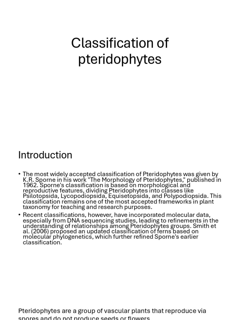 Pteridophytes JPG Sem1 | PDF | Fern | Spore