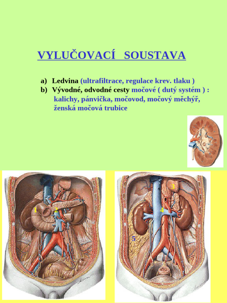 Vylucovaci Syst. Is | PDF
