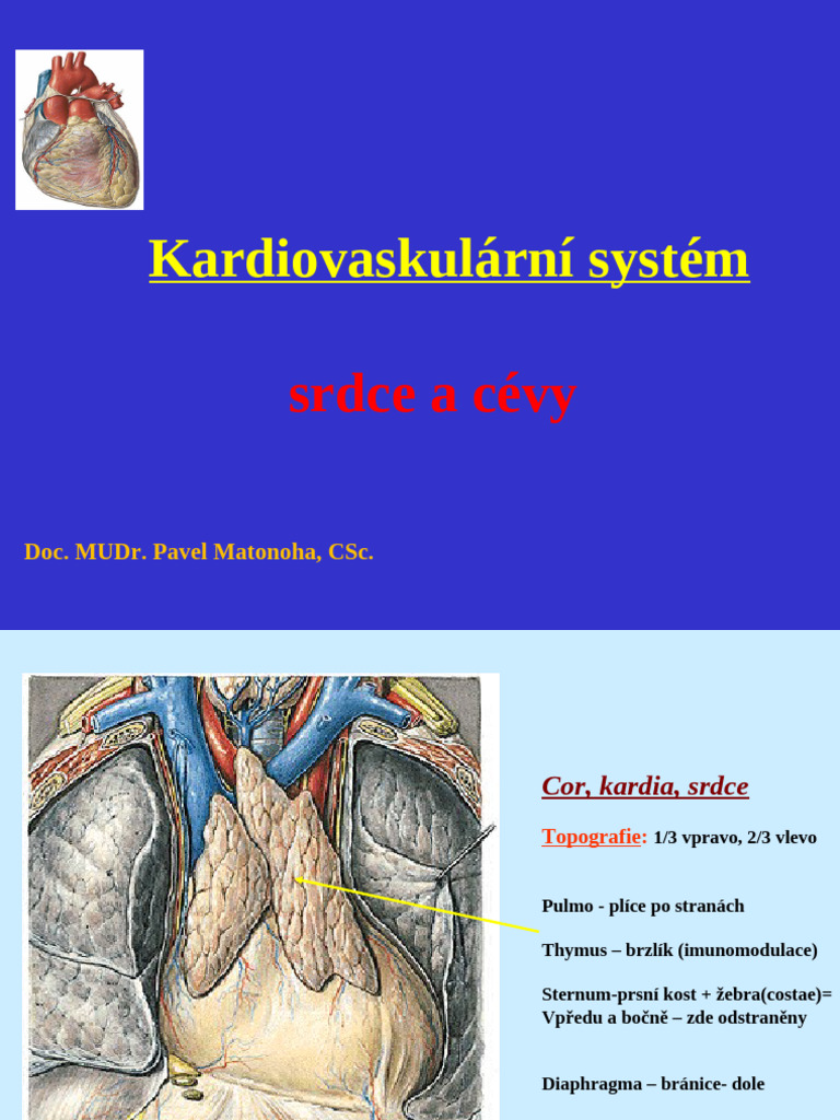 Kardio - Is | PDF