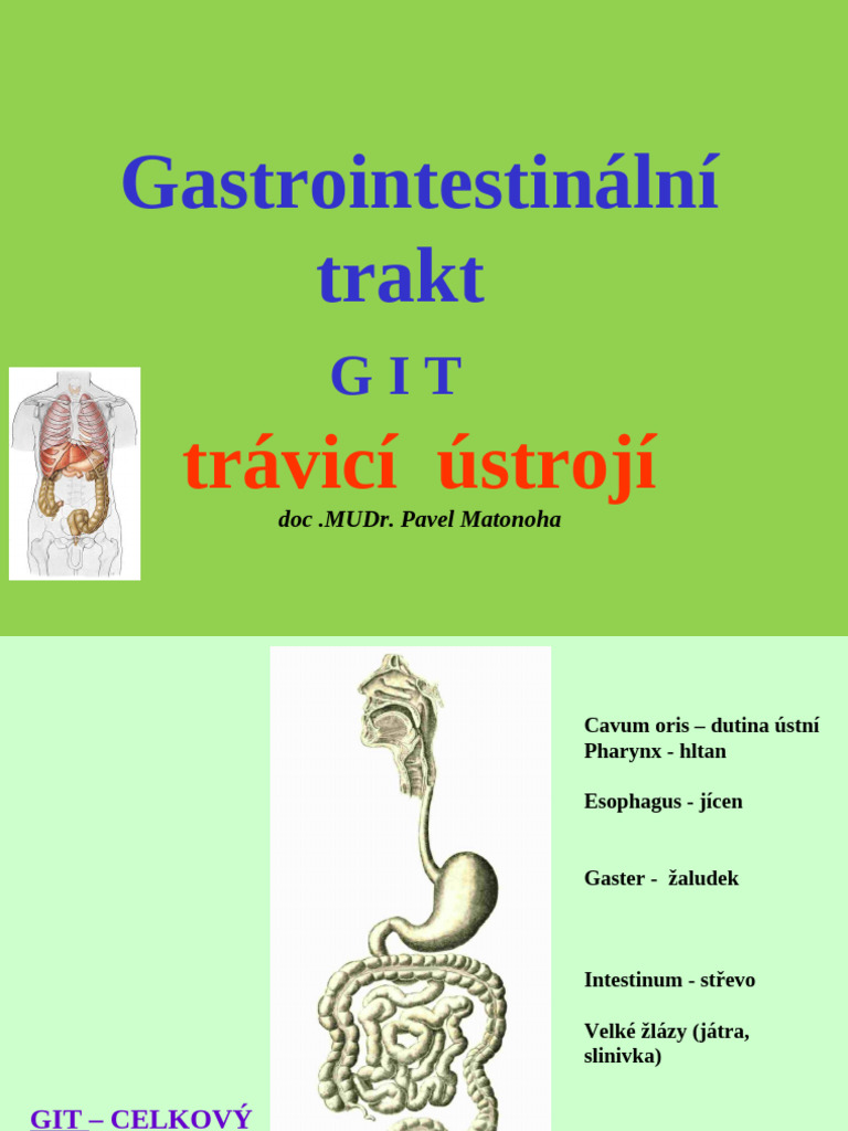 Travici Syst. 1 2 - IS | PDF