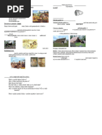 Dejepis 5. Rocnik | PDF