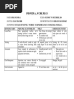 2025 Individual Work Plan | PDF | Teachers | Lesson Plan