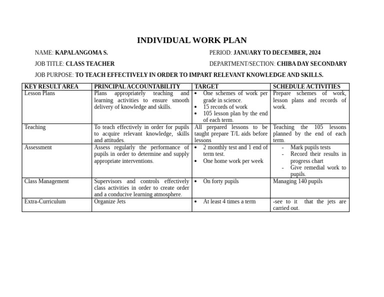 Individual Work Plan | PDF
