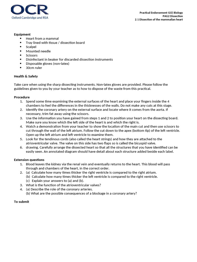 PAG2.1 Student Dissection ofeart_v0.2 | PDF | Heart | Heart Valve