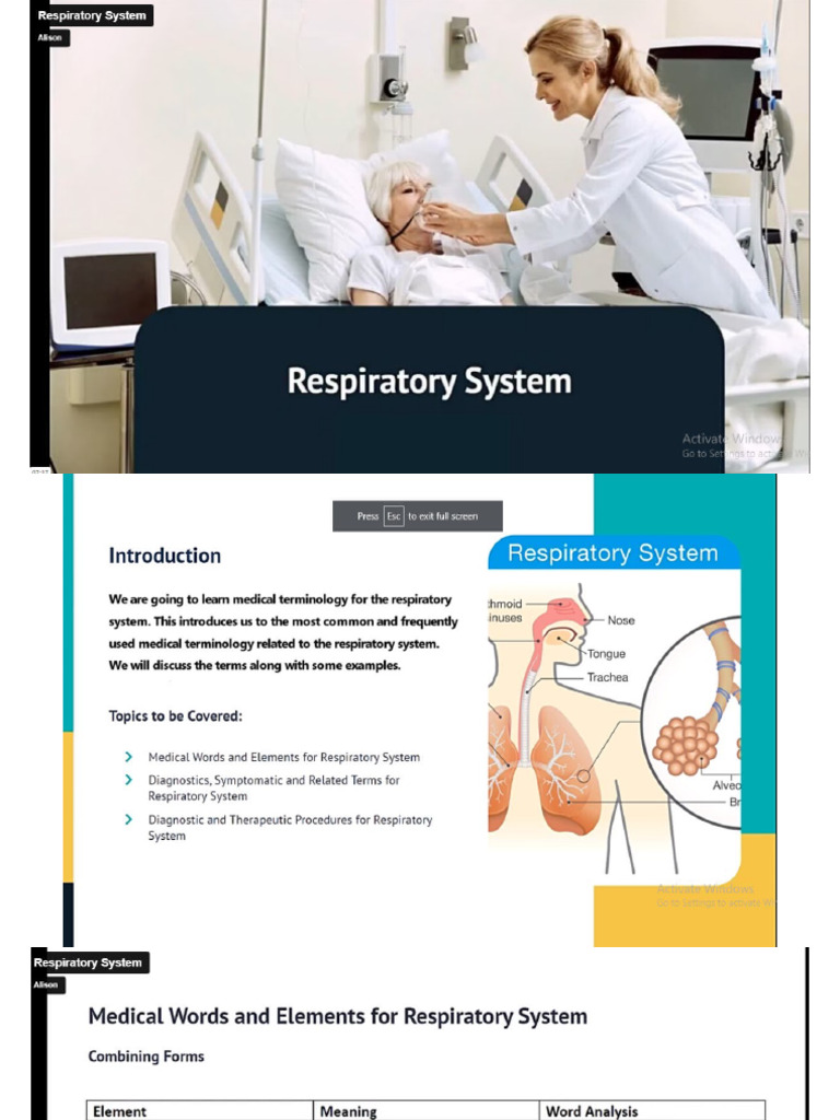 Respiratory System | PDF