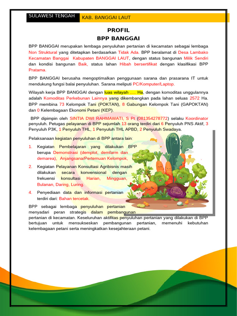 Profil BPP Kab. Banggai Laut | PDF