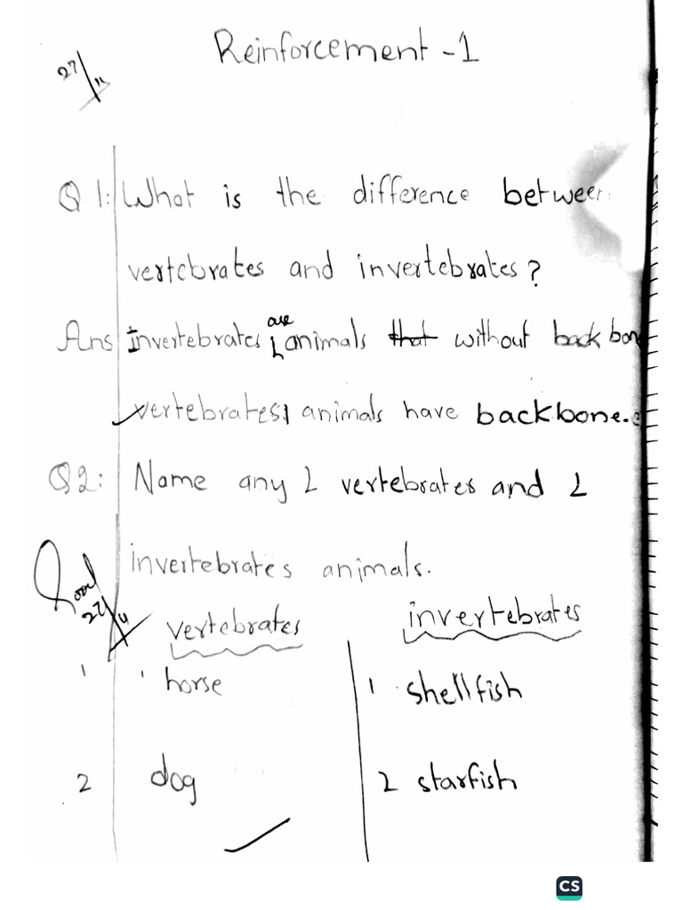 Grade 2 Science Reinforcement+ Textbook Pgs | PDF
