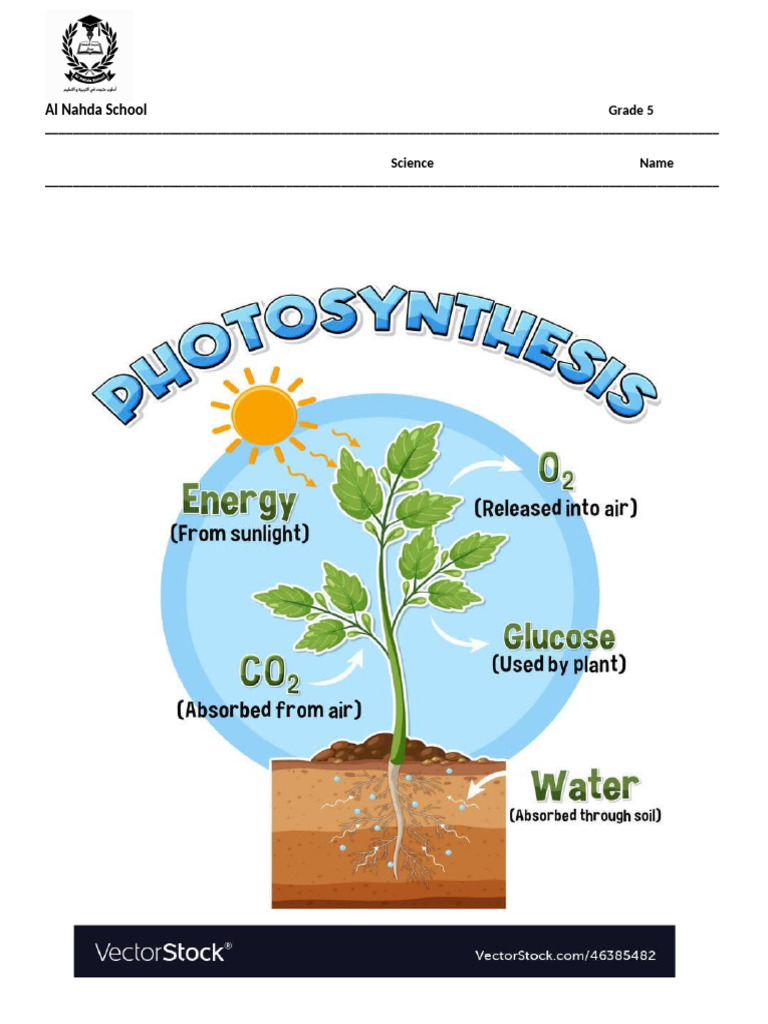 Science Worksheet | PDF