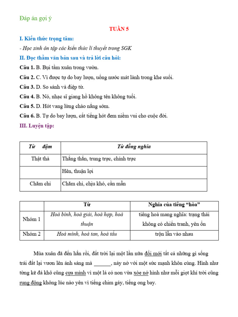 ĐA-bai-tap-cuoi-tuan-tieng-viet-lop-5-ket-noi-tri-thuc-tuan-5 | PDF