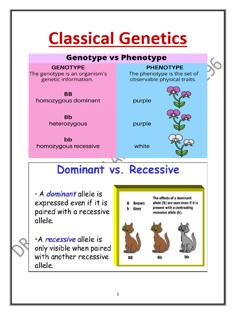 Classical Genetics | PDF | Dominance (Genetics) | Allele