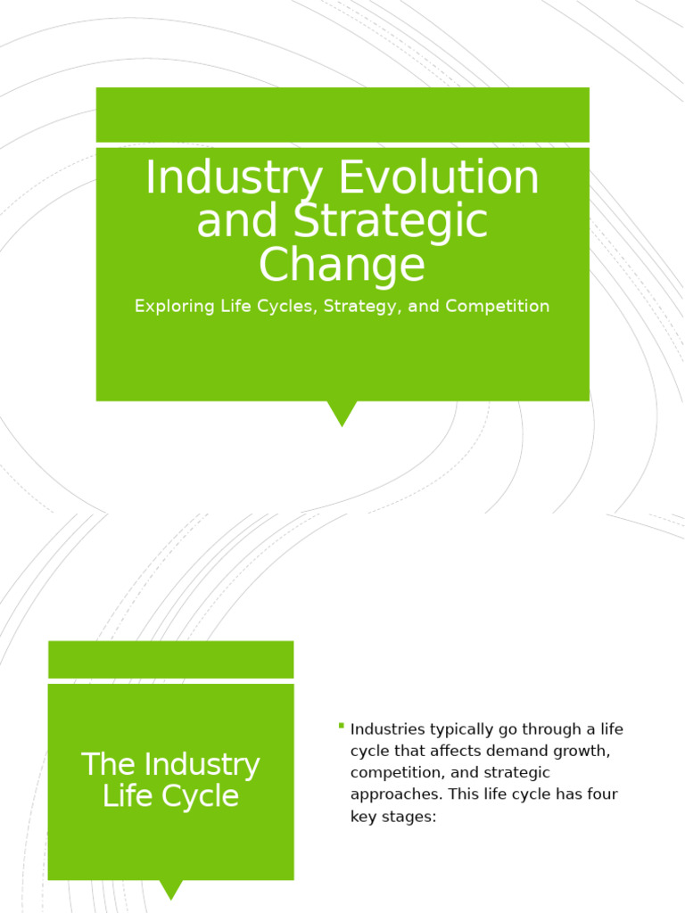 Industry Life Cycle and Strategy Insights | PDF | Knowledge Management ...