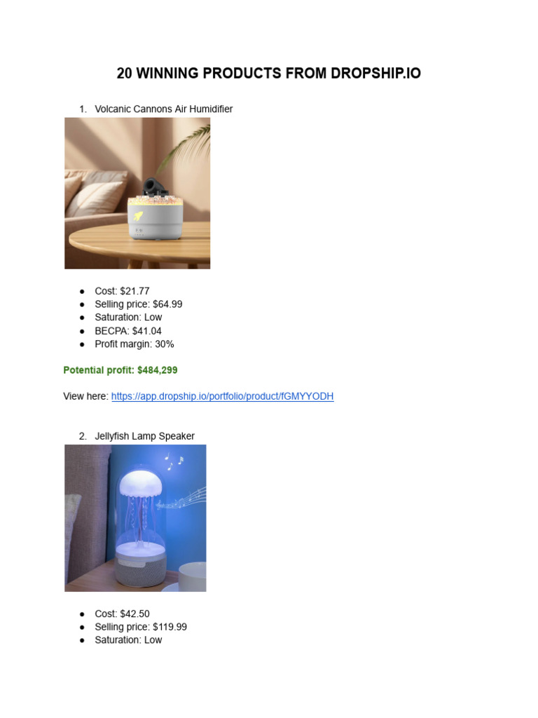 Dropship.io - 20 Winning Products To Sell | PDF | Income Statement