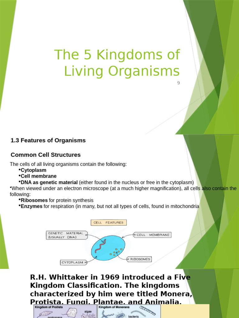 The 5 Kingdoms of Living Organisms | PDF | Cell (Biology) | Plants