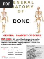 Skeletal System Anatomy Lecture PDF | PDF | Bone | Skeleton