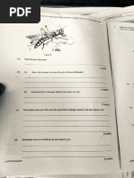 Biology (Alternative To Practical Work) - NOVDEC 2024 | PDF