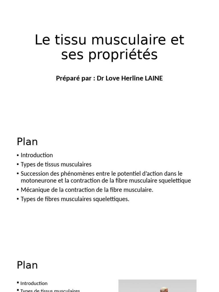 Propriétés et types de tissus musculaires | PDF | Contraction du muscle ...