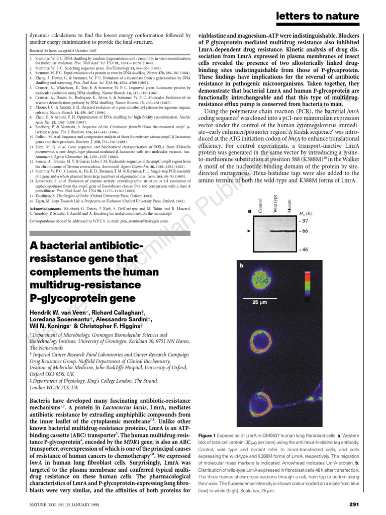 van_veen_1998 | PDF | Vector (Molecular Biology) | P53