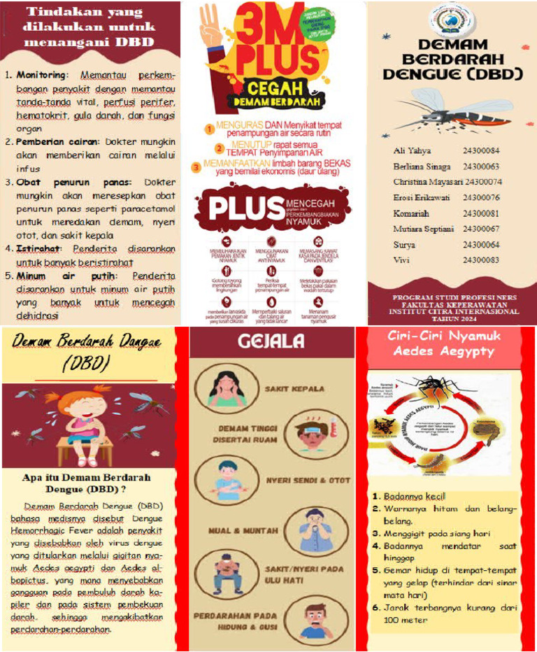 Leaflet DBD | PDF