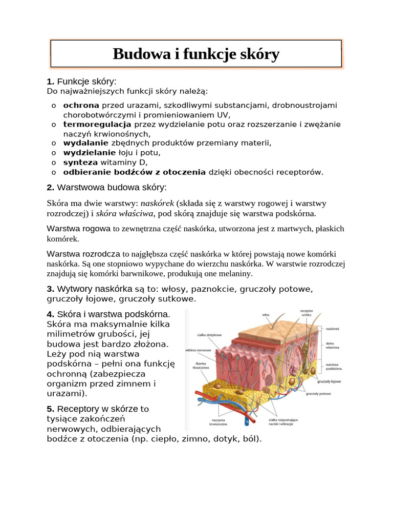 1.2. Budowa I Funkcje Skóry | PDF