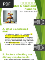Balanced Diet Worksheet | PDF | Foods | Healthy Diet