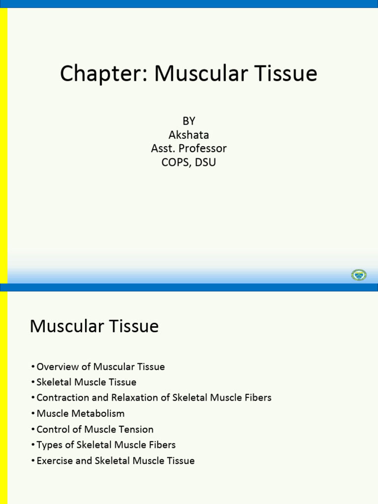 Muscular Tissue | PDF | Muscle Contraction | Neuromuscular Junction