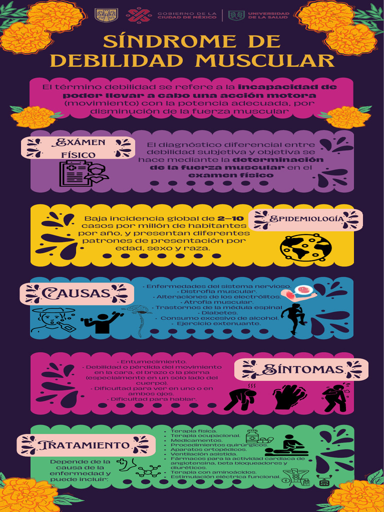 Infografía Día de Muertos Colorido Morado | PDF | Músculo ...